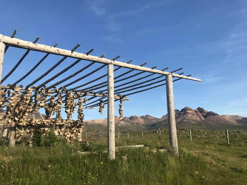 Puffin & Gufufoss Waterfall Tour from Seydisfjordur Port - Final Thoughts