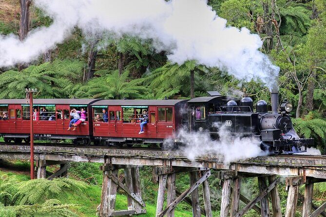 Puffing Billy And Phillip Island Penguin Parade Bus Tour - An In-Depth Look at the Tour Experience