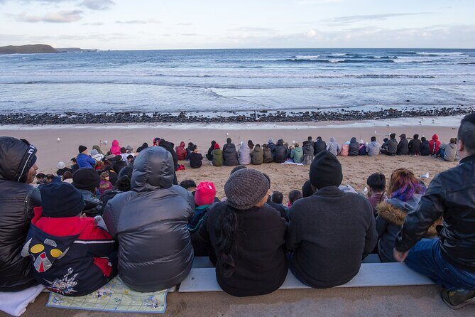 Puffing Billy And Phillip Island Penguin Parade Bus Tour - Frequently Asked Questions
