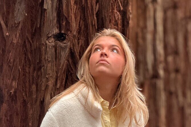 Puffing Billy, Forest Trails and Yarra Valley Discovery Tour - The Sum Up