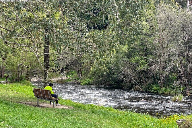 Puffing Billy, Forest Trails and Yarra Valley Discovery Tour - FAQ