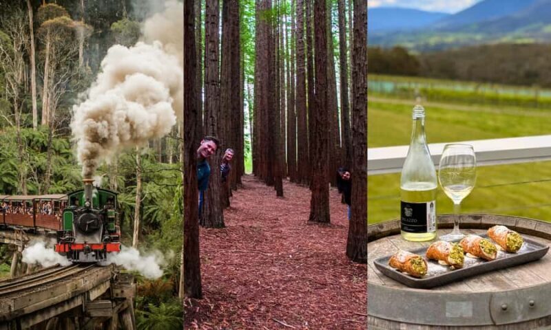 Puffing Billy, Forest Trails & Yarra Valley Discovery Tour - An In-depth Look at the Experience