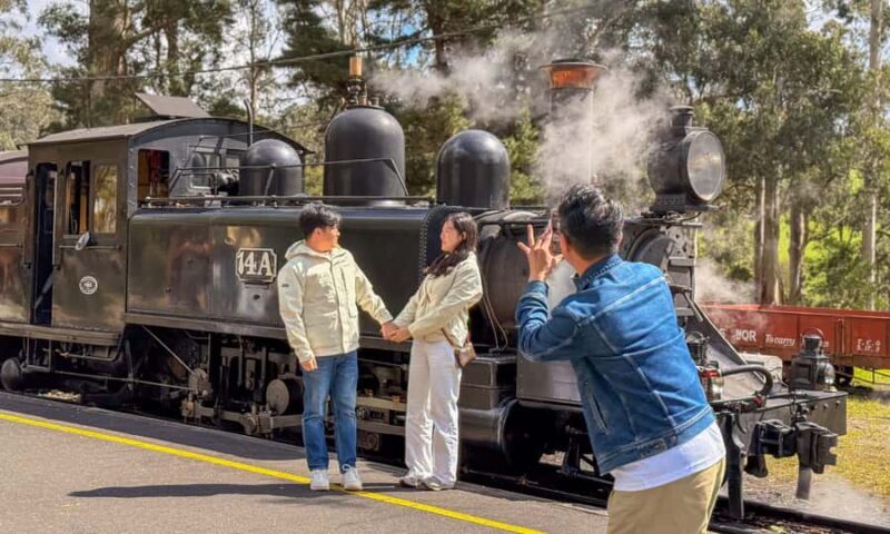 Puffing Billy, Forest Trails & Yarra Valley Discovery Tour - Who Is This Tour Best For?