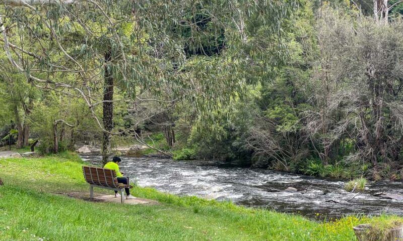 Puffing Billy, Forest Trails & Yarra Valley Discovery Tour - FAQs