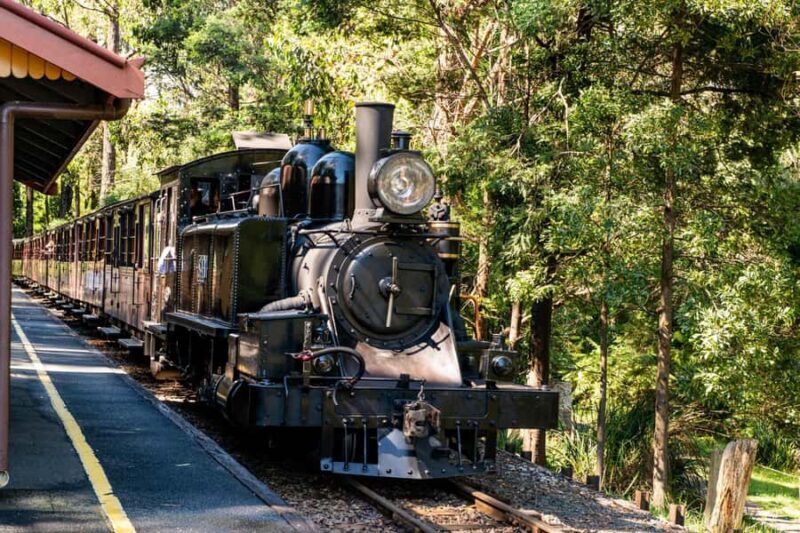 Puffing Billy, Healesville Sanctuary & Chocolatier - Indulgence at Yarra Valley Chocolaterie
