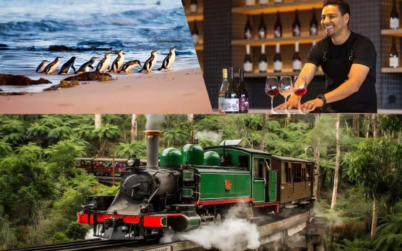 Puffing Billy Penguin Parade Mercedes Minibus Hotel Pickup - Key Points