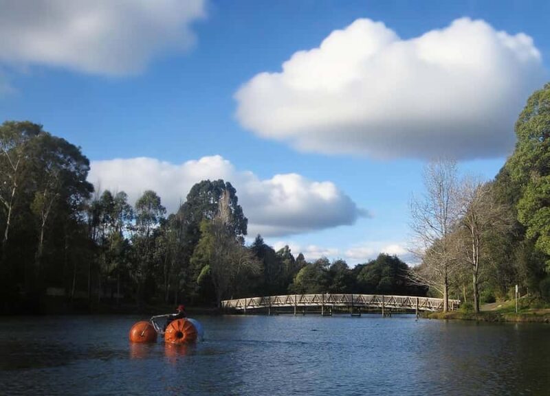 Puffing Billy Penguin Parade Mercedes Minibus Hotel Pickup - Who Would Love This Tour?