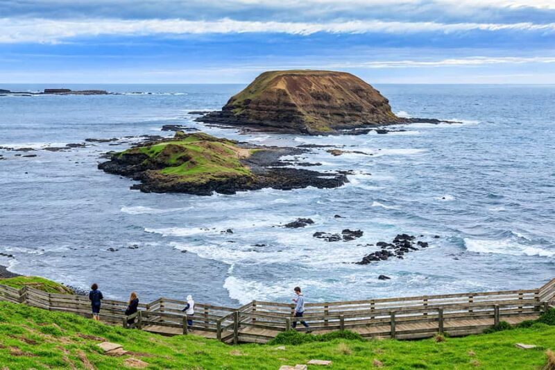 Puffing Billy Penguin Parade Mercedes Minibus Hotel Pickup - Final Thoughts