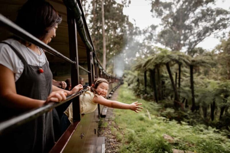 Puffing Billy Railway: Heritage Steam Train Journey - Key Points