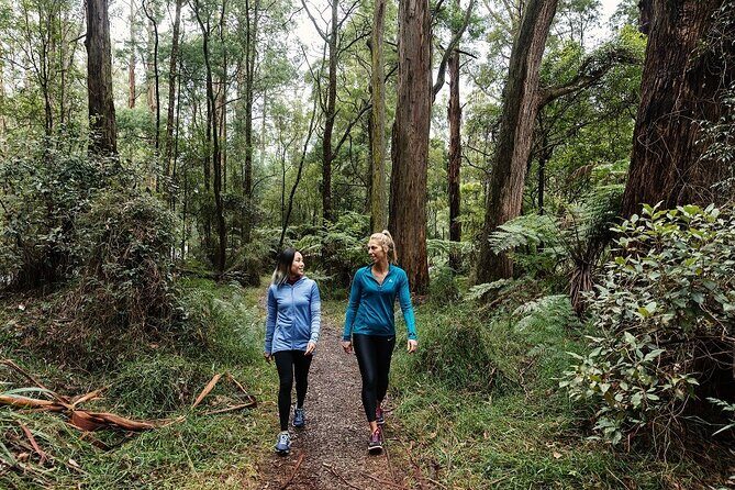 Puffing Billy & Rainforest Tour from Melbourne - Key Points