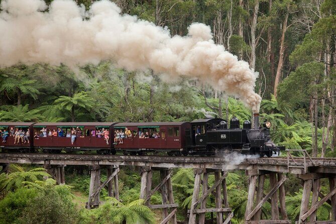 Puffing Billy Steam Train Experience - Authentic Experiences from Fellow Travelers