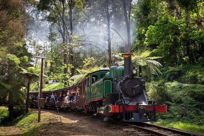 Puffing Billy Tour and Penguin Parade from Melbourne - Who Will Love This Tour?