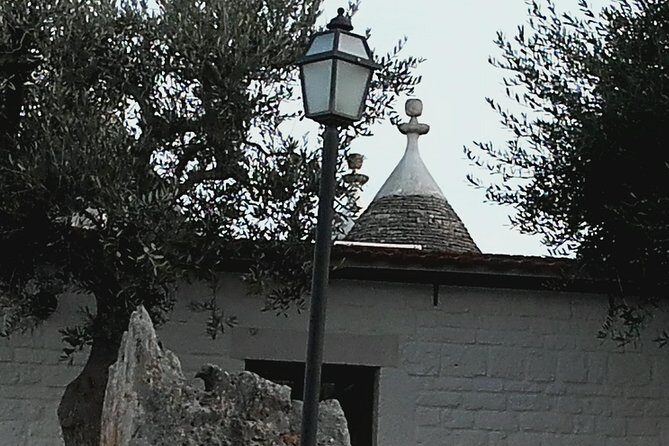 Puglia Full-Day Tour: Bari, Trulli of Alberobello, Castel del Monte and Sassi of Matera - An Overview of the Experience