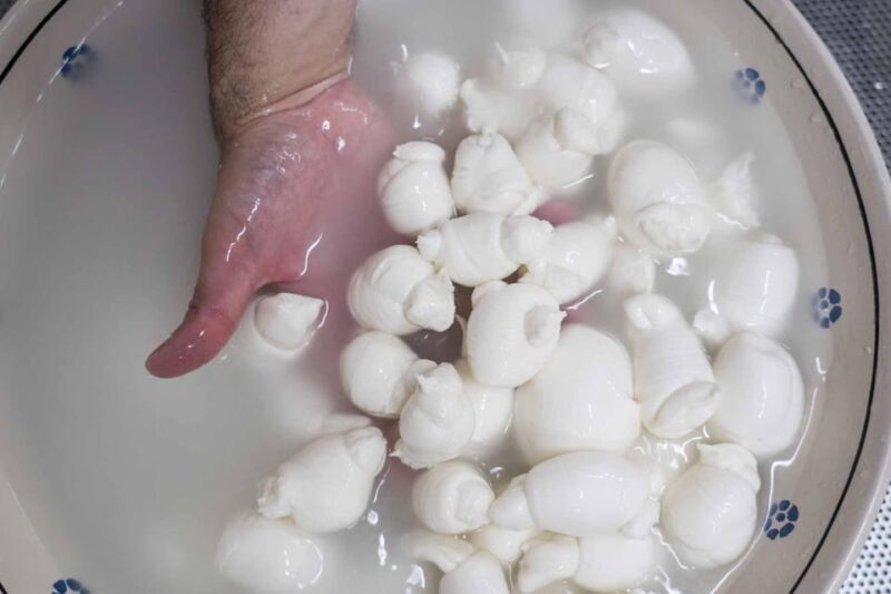 Puglia: Masseria Seppunisi Tour, Cheese, Burrata Tasting - Practical Details & What to Expect