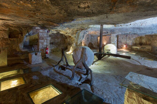 Puglia Olive Oil Tasting Experience with Olive Grove Walk - Key Points