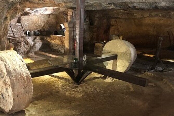 Puglia Olive Oil Tasting Experience with Olive Grove Walk - FAQ