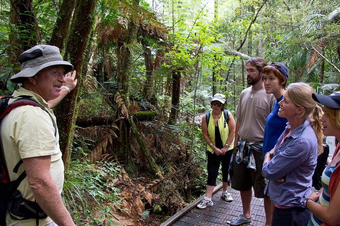 Puketi Rainforest Guided Walks .This is not a Shore Excursion product . - Why This Tour Is a Great Choice