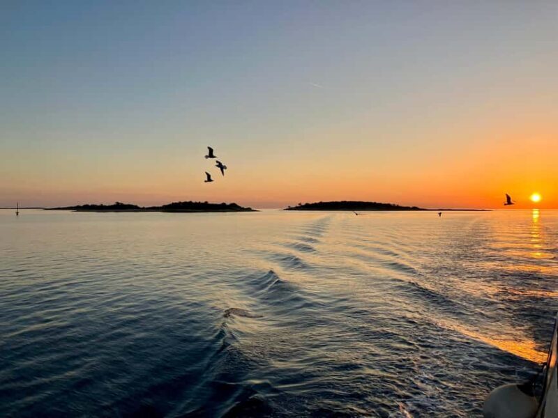 Pula: Brijuni National Park Sunset Cruise with Open Bar - Key Points  