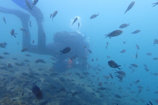 Pula Discover Scuba Diving Package - An Authentic Look at the Pula Discover Scuba Experience