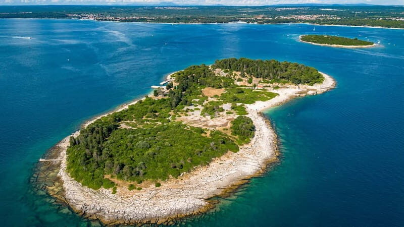 Pula: National Park Brijuni, 2 swimming stops, lunch, drinks - The Experience: A Balance of Relaxation and Adventure
