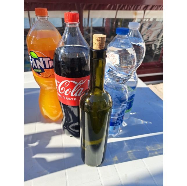 Pula: National Park Brijuni Island Visit & Dolphin Cruise - Who Is This Tour Best Suited For?