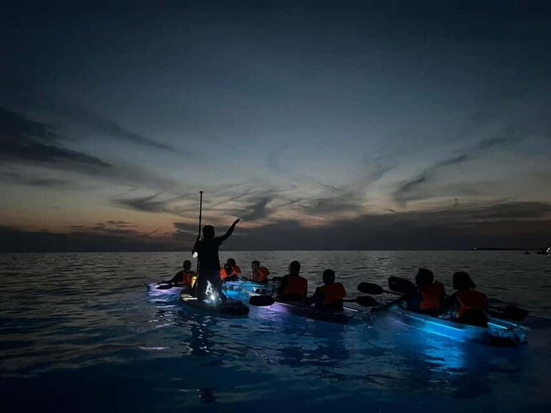 Pula: Sunset/Night Illuminated Transparent Kayak Tour - The Value of This Tour