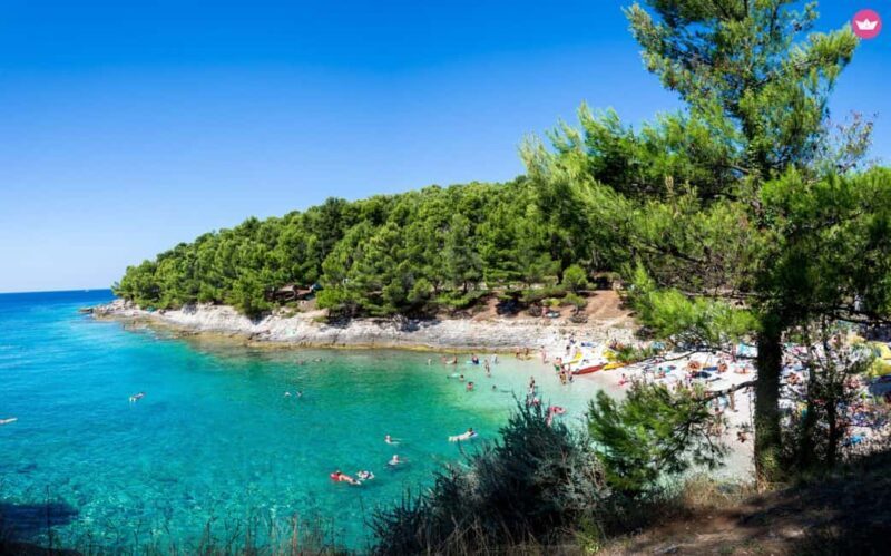 Pula: Swimming & snorkeling Boat Tour - Who Is This Tour For?