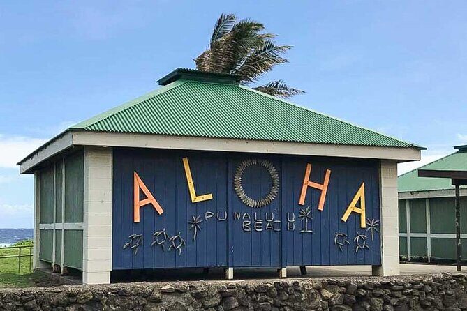 Punaluu Black Sand Beach Tour - Volcanoes National Park & Hilo - Starting Point: Convenient Pickup and Early Morning Departure