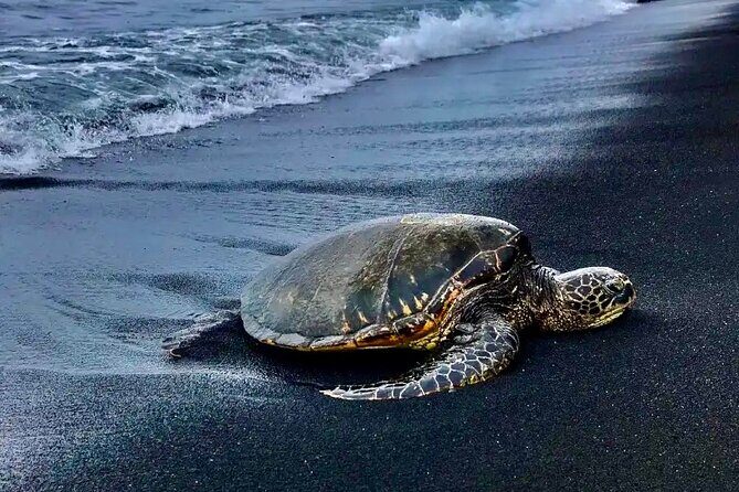 Punaluu Black Sand Beach Tour - Volcanoes National Park & Hilo - Second Stop: Hawaii Volcanoes National Park (2 Hours)