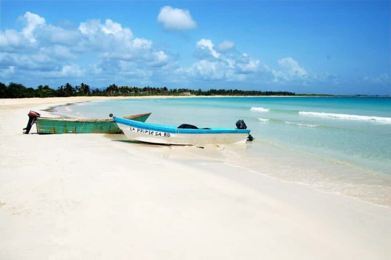 Punta Cana: Saona Island Full-Day Open Bar, Lunch & Transfer - Final Thoughts: Who Is This Tour For?