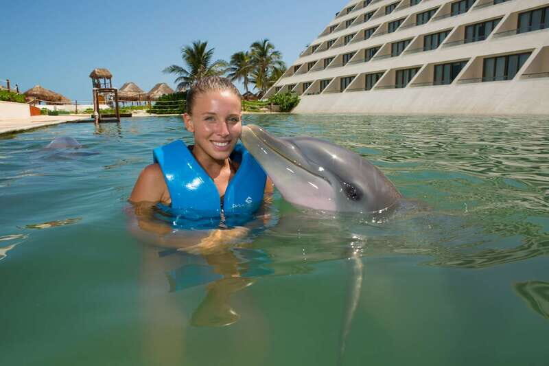 Punta Cancun: Swim with dolphins Harmony - Key Points