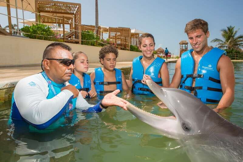 Punta Cancun: Swim with dolphins Harmony - The Experience: What to Expect and Why It Matters