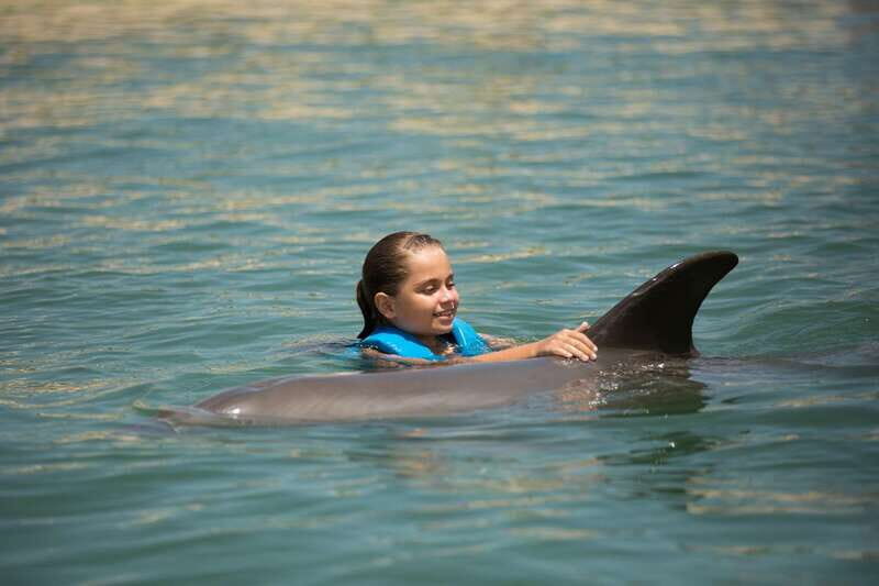 Punta Cancun: Swim with dolphins Interax - The Practical Details