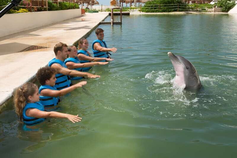 Punta Cancun: Swim with dolphins Primax - The Sum Up