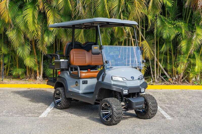 Punta de Mita Golf Cart Rentals - Key Points
