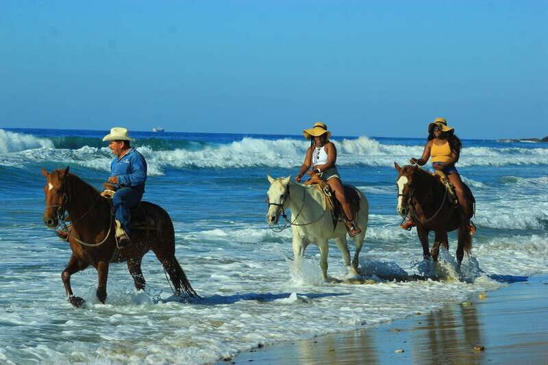 Punta de Mita/Sayulita: Horseback Riding Tour - Final Thoughts