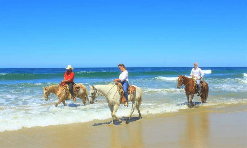 Punta de Mita/Sayulita: Horseback Riding Tour - FAQ