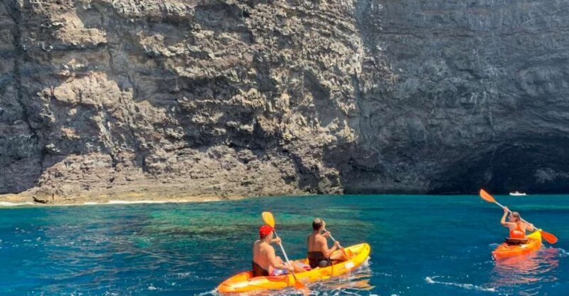 Punta de Teno: Kayak Safari overlooking Los Gigantes Cliffs - Transportation and Logistics