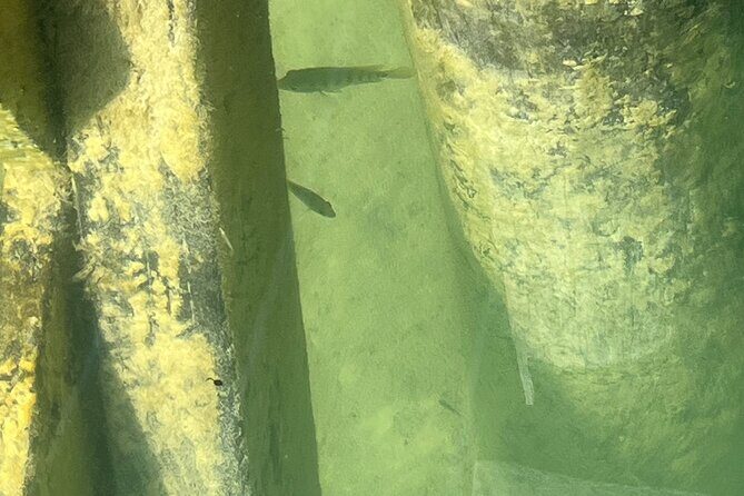 Punta Laguna Adventure with Mayan Ceremony - FAQ