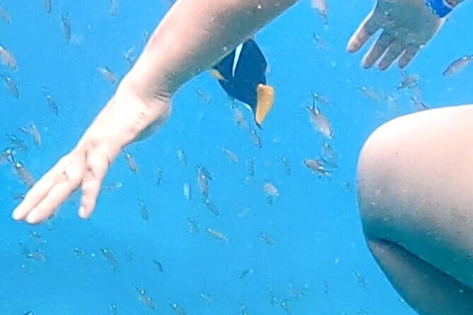 Punta Mita Fishing Experience and Snorquel at Secluded Reefs - Final Thoughts