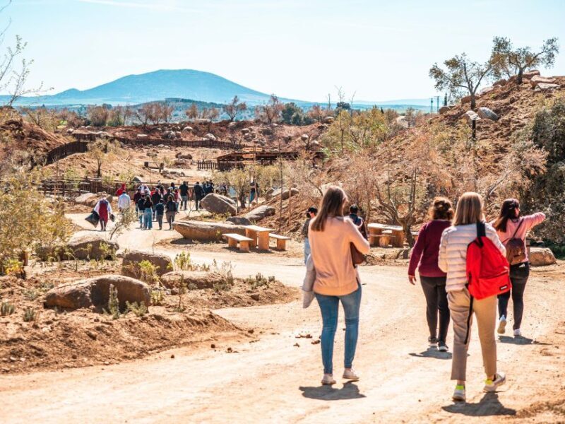 Puy du Fou España and El Sueño de Toledo Entry - FAQ