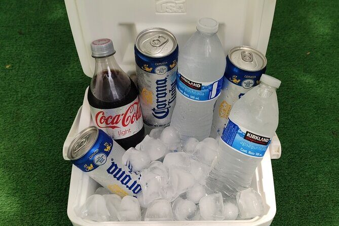 PVR VIP Round trip transfers Airport - Downtown - Airport - Is It Worth It?