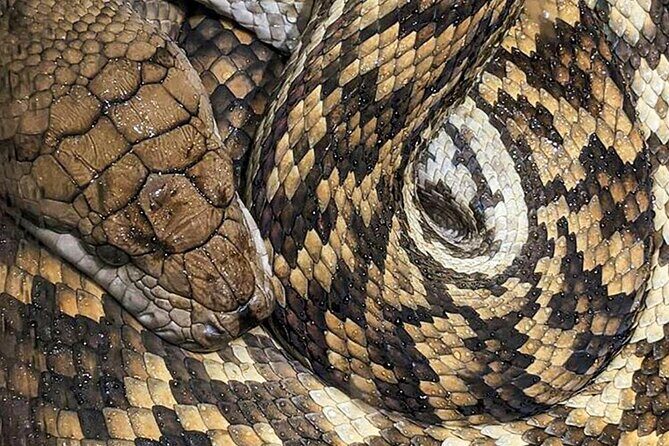 PVT Guided Tour: Sydney Opera House and Featherdale Wildlife Park - How the Experience Plays Out in Real Life