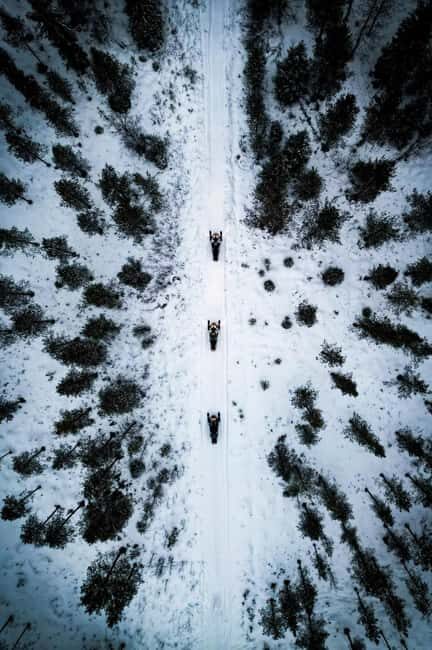 Pyhä: Forest Trails Snowmobile Safari - Key Points