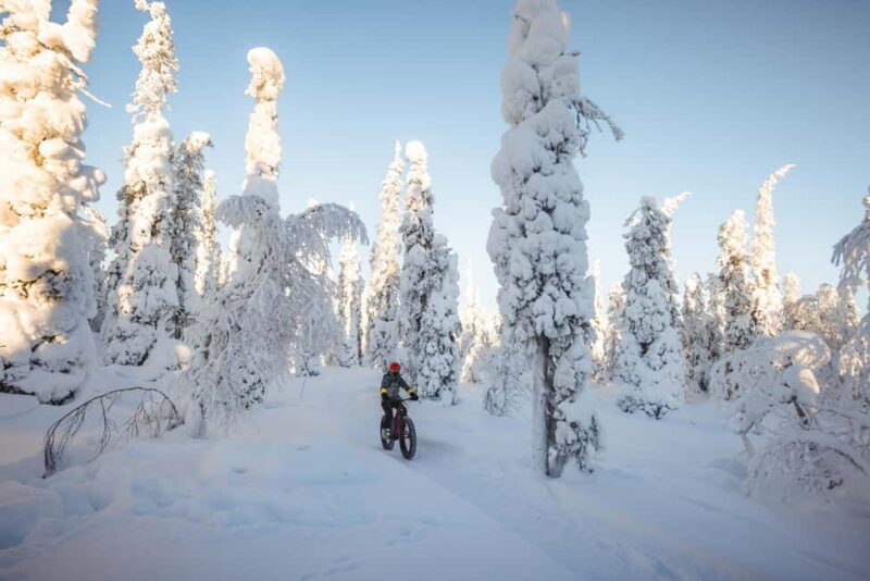 Pyhätunturi: Electric Fatbike Tour in Finnish Lapland - Who Should Consider This Tour?  