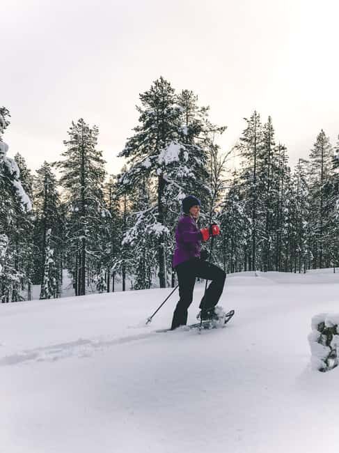 Pyhätunturi: Private Snowshoeing Tour With Local Guide - An In-Depth Look at the Pyhätunturi Private Snowshoeing Experience