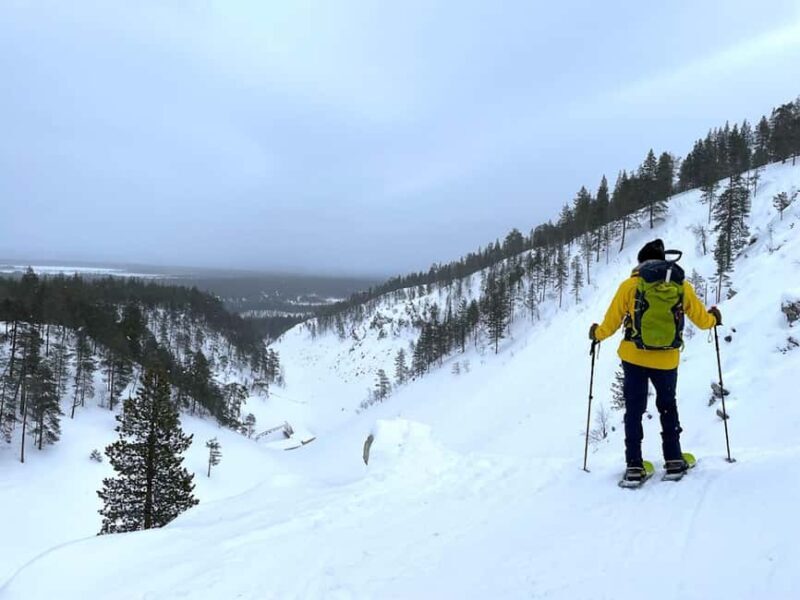 Pyhätunturi: Private Snowshoeing Tour With Local Guide - The Sum Up