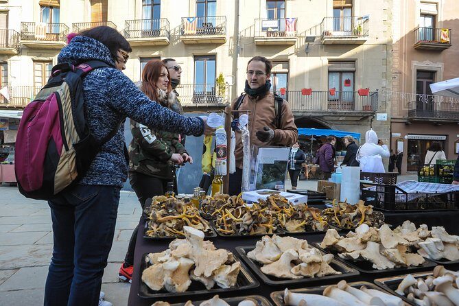 Pyrenees & Medieval Towns Small Group Tour from Barcelona - Final Thoughts