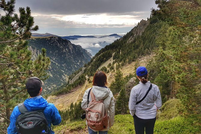 Pyrenees Mountain Train and Nature Walk - The Sum Up: Is It Worth It?