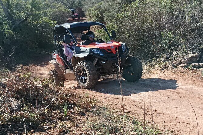 Quad Adventure 1.5 Hours Off Road Tour from Albufeira - Who is This Tour Best For?
